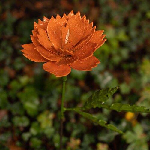 For The Garden – Gower Gallery