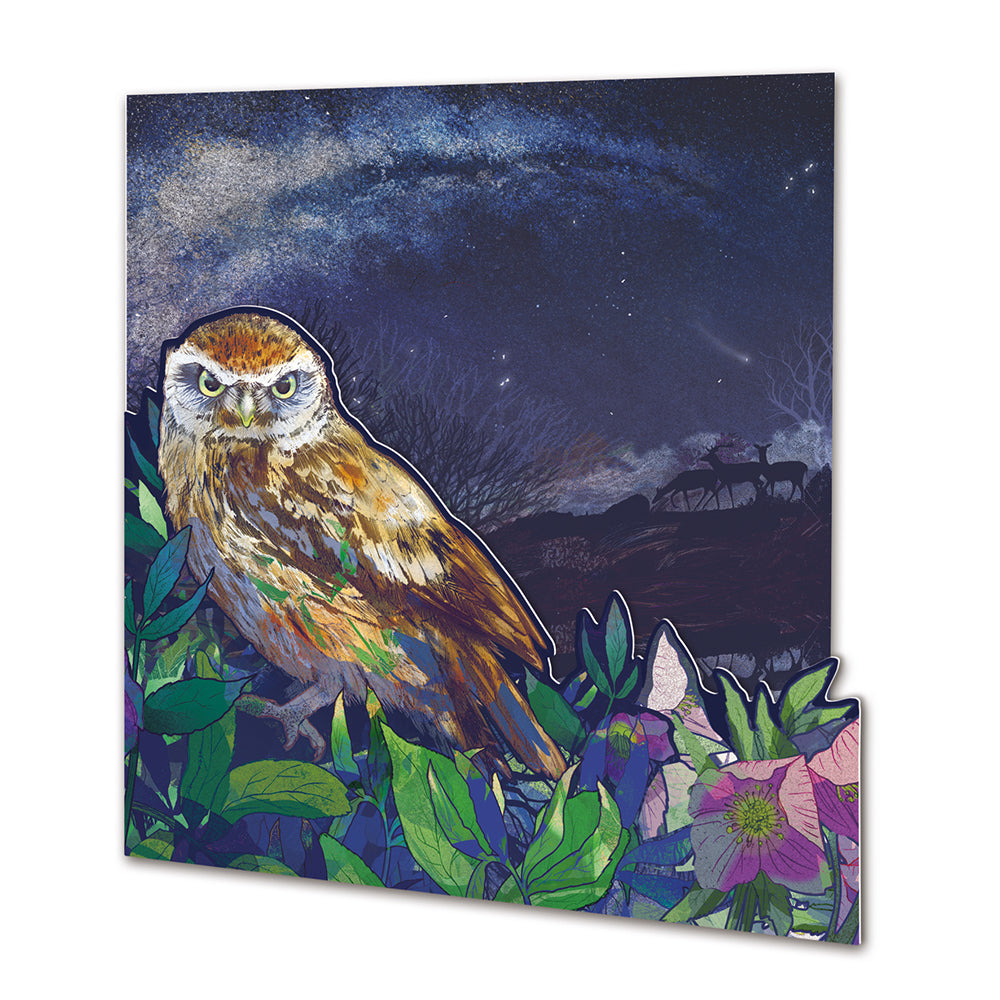 Night Owl Greetings Card – Gower Gallery