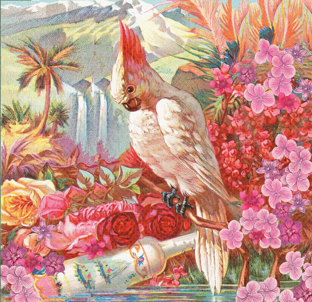 Parrot Card MA055 – Gower Gallery