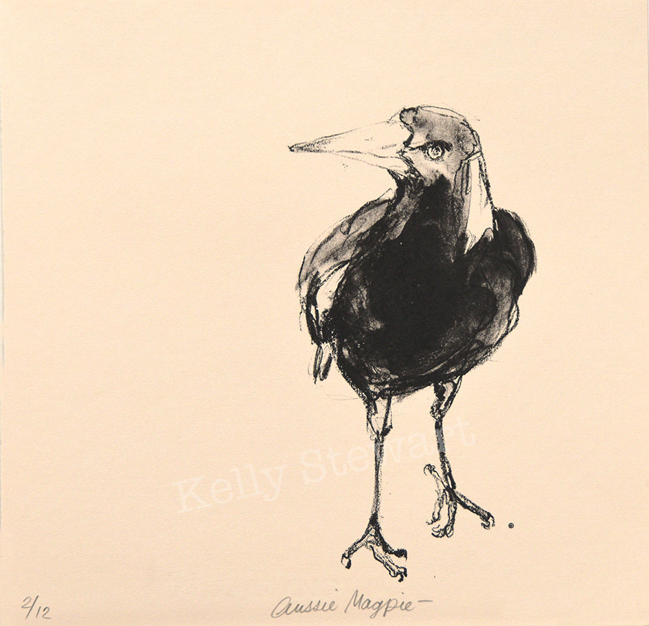 Aussie Magpie Screen Print for sale on Behalf of Kelly Stewart – Gower ...